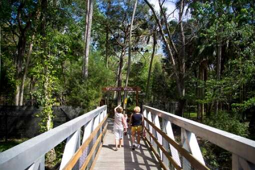 Experience Florida's Wild Side at Homossosa Springs Wildlife State Park ...