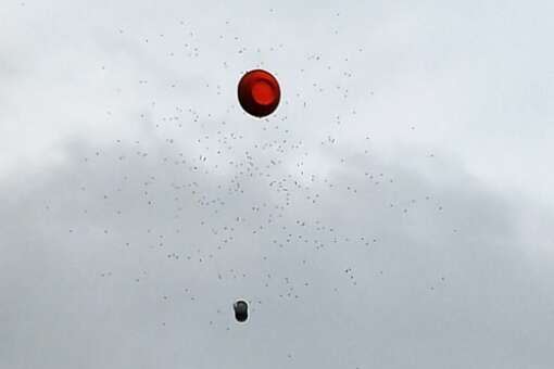 Florida Sporting Clays: 'Golf with a Shotgun' | VISIT FLORIDA