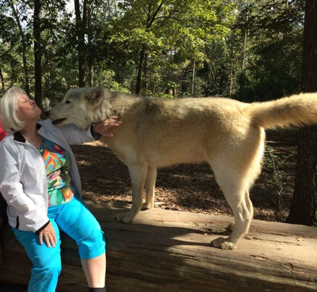 From Waterfalls to Wolves: A Washington County, Florida Tour