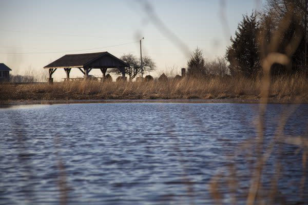 Get Out & Explore Nature at This East Central Indiana Forest Preserve