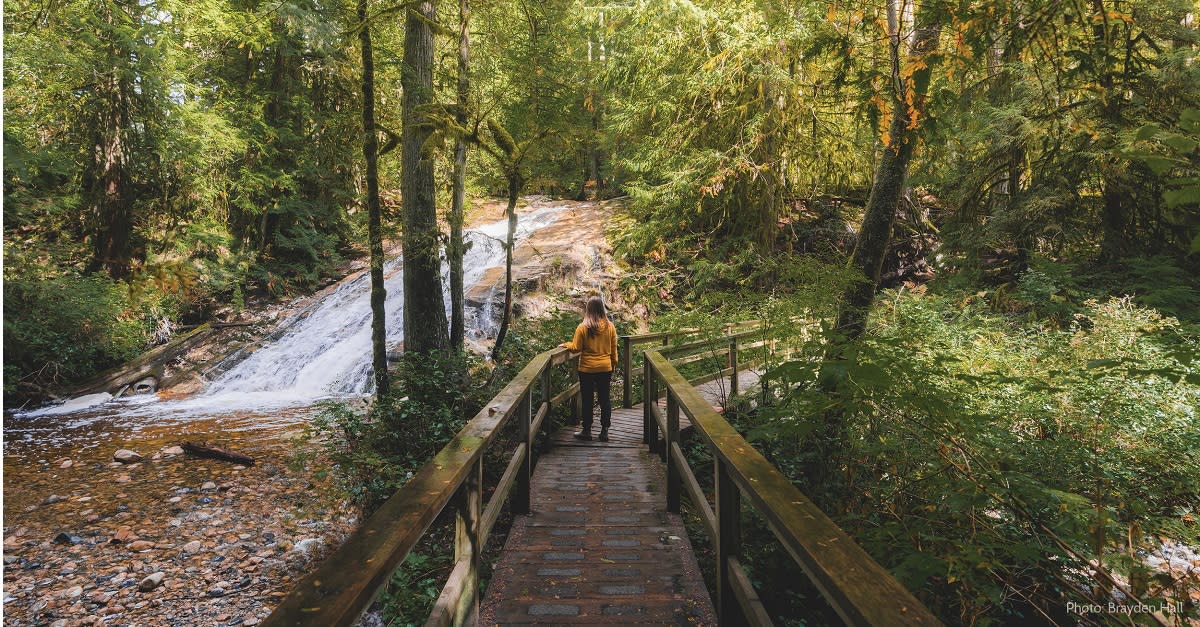 1O Ways to Spend a Rainy Day on the Sunshine Coast | Sunshine Coast Tourism