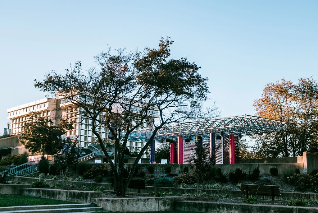 Fun Things to do in Arlington: A Trendy Neighborhood Guide