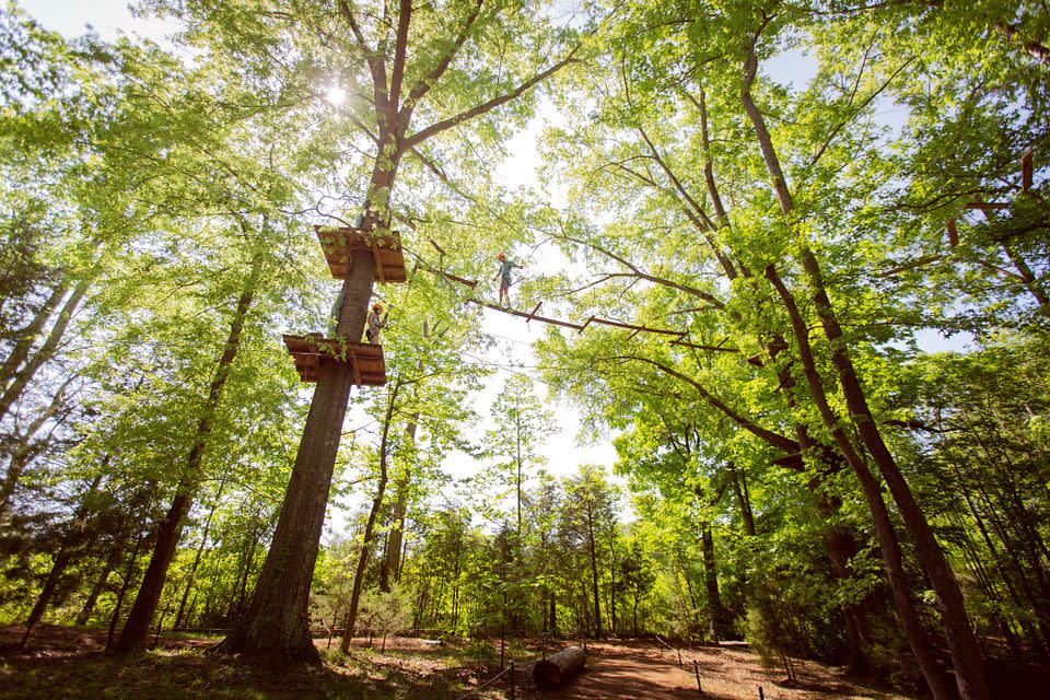 Virginia Camping Destinations for Fall Fun