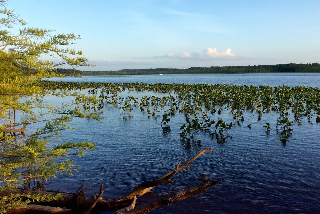 10 Fantastic Family Floats in Virginia