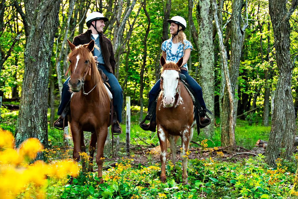 The Most Gorgeous Spring Wildflower Hikes