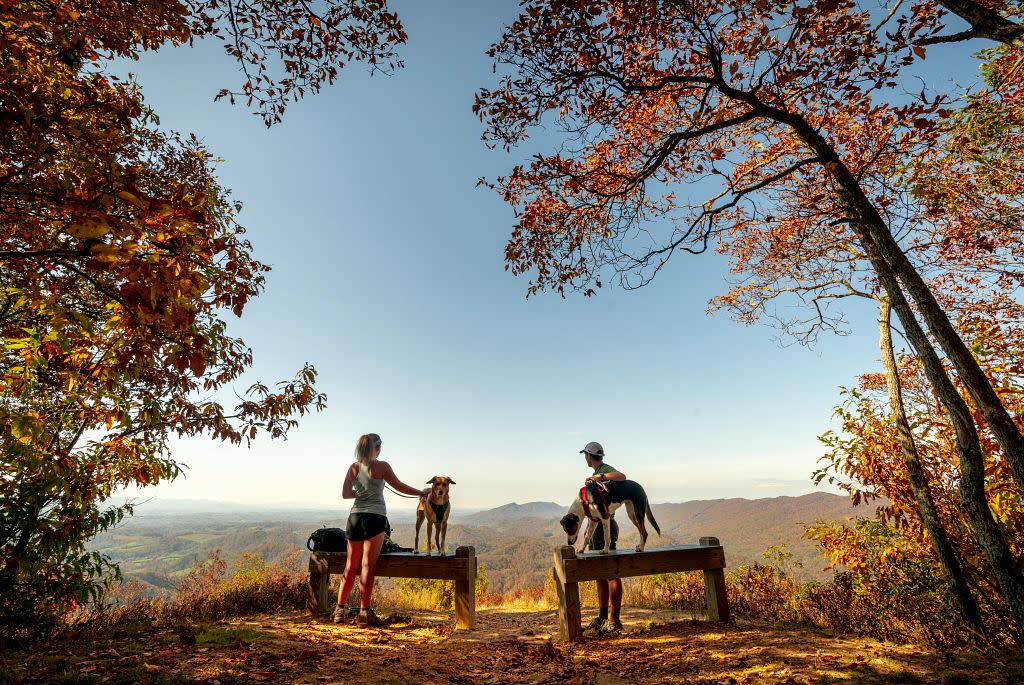 When (& Where) to See Peak Fall Foliage in Virginia