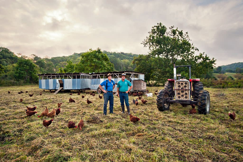 Interactive Farm Tours in Virginia