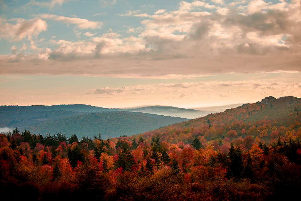 The Top Spots to View Virginia’s Colorful Foliage Throughout the Fall