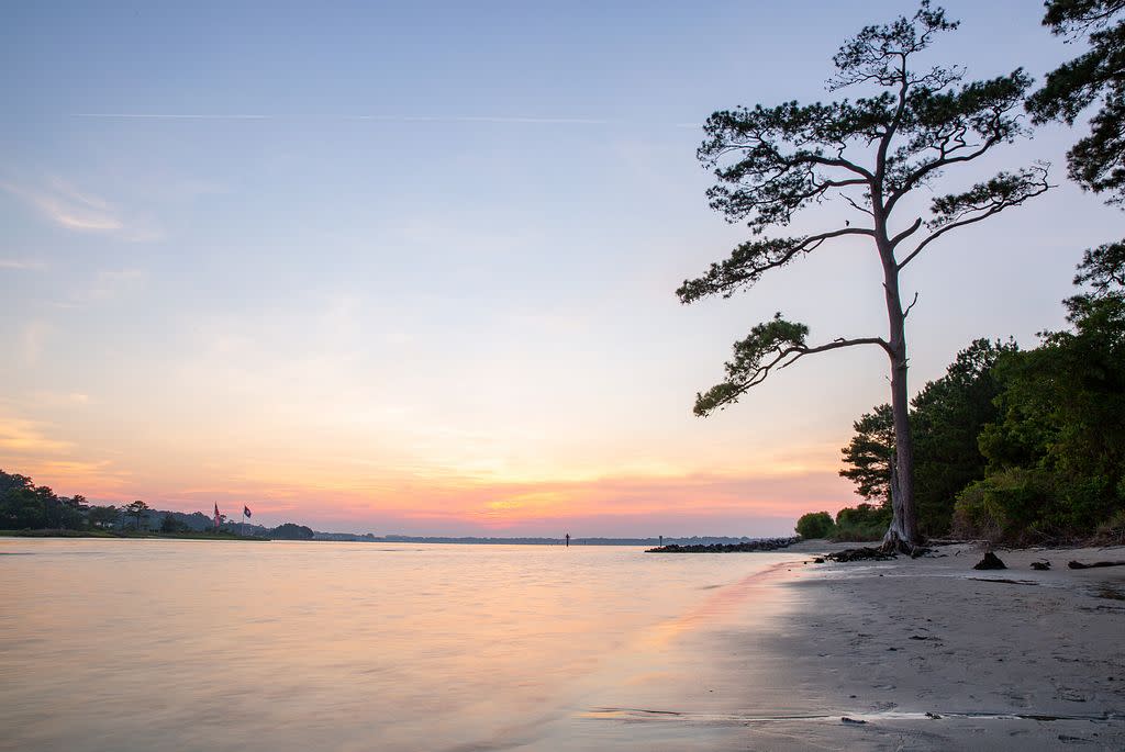 The Guide to Virginia's Dog-Friendly Beaches