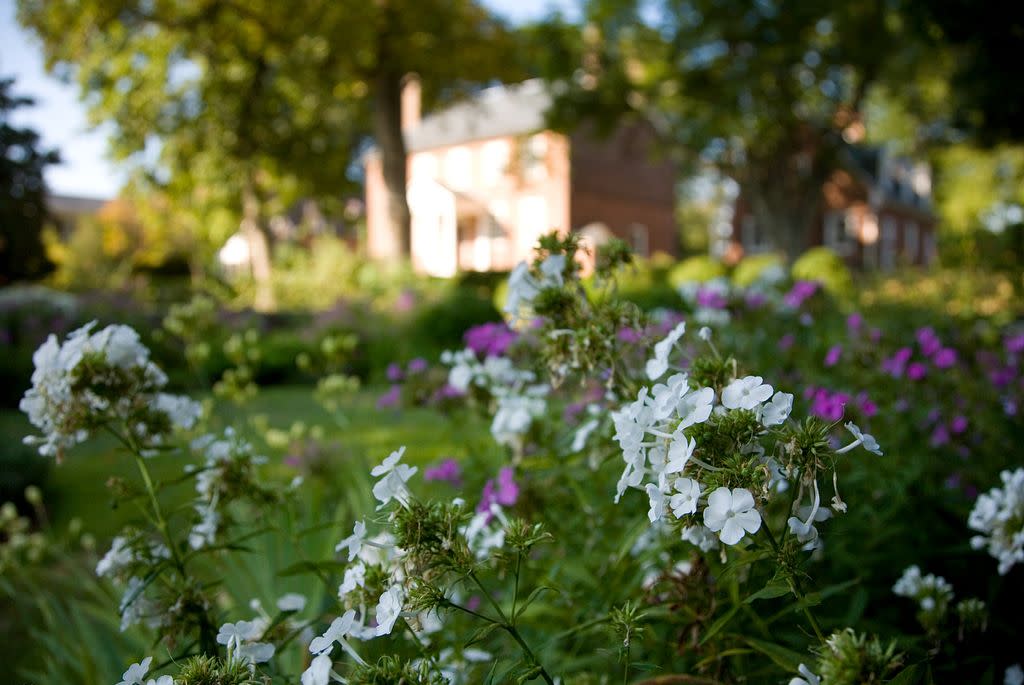 Historic Garden Week: The Most Stunning Virginia Gardens for Spring Flowers