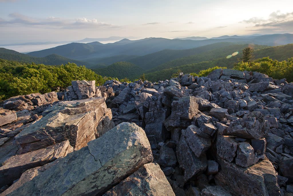 Everything You Need to Know About Camping in Shenandoah National Park