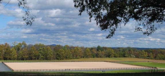 Morven Park International Equestrian Center | Leesburg, VA 20176