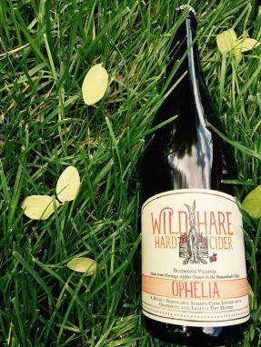 Wild Hare Hard Cider | Leesburg, VA 20175