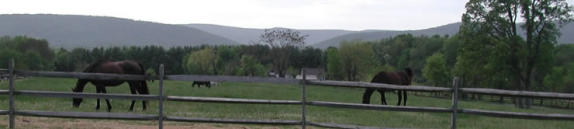 Overlook Farm | Purcellville, VA 20132