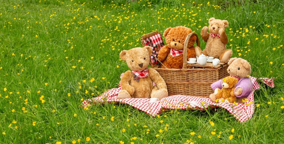 Teddy Bears Picnic