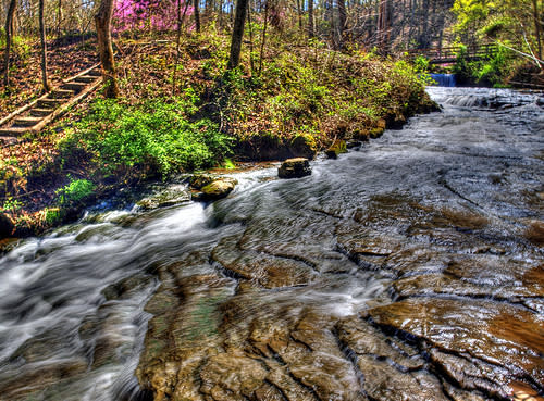 Saunders Springs Nature Preserve
