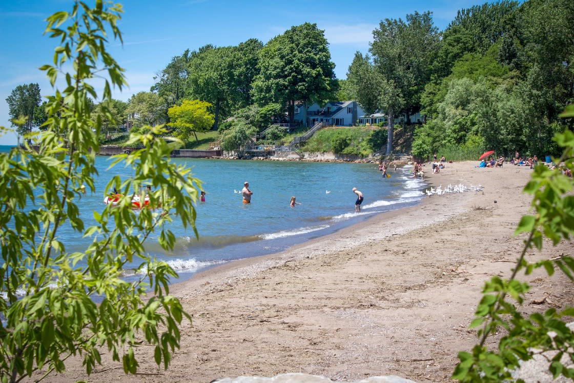 Colchester Harbour And Beach