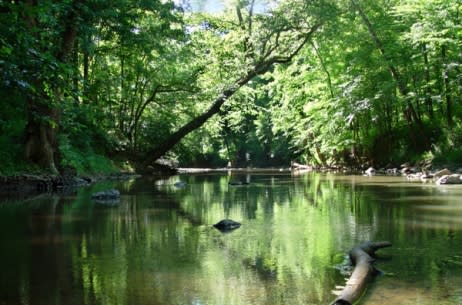 Eno River State Park