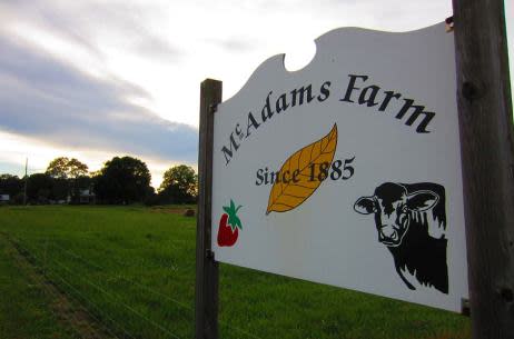 McAdams Farm