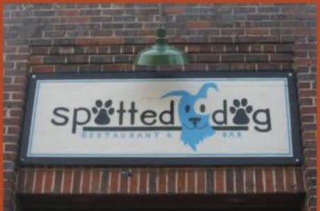 Spotted Dog
