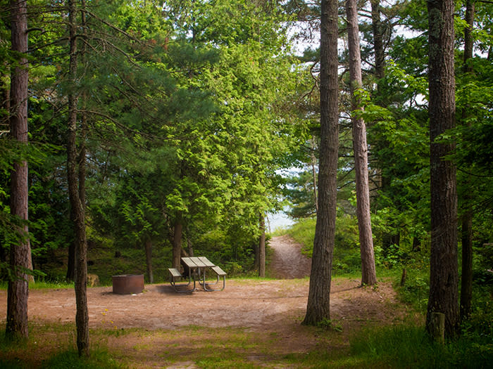 Big Knob State Forest Campground/Pathway
