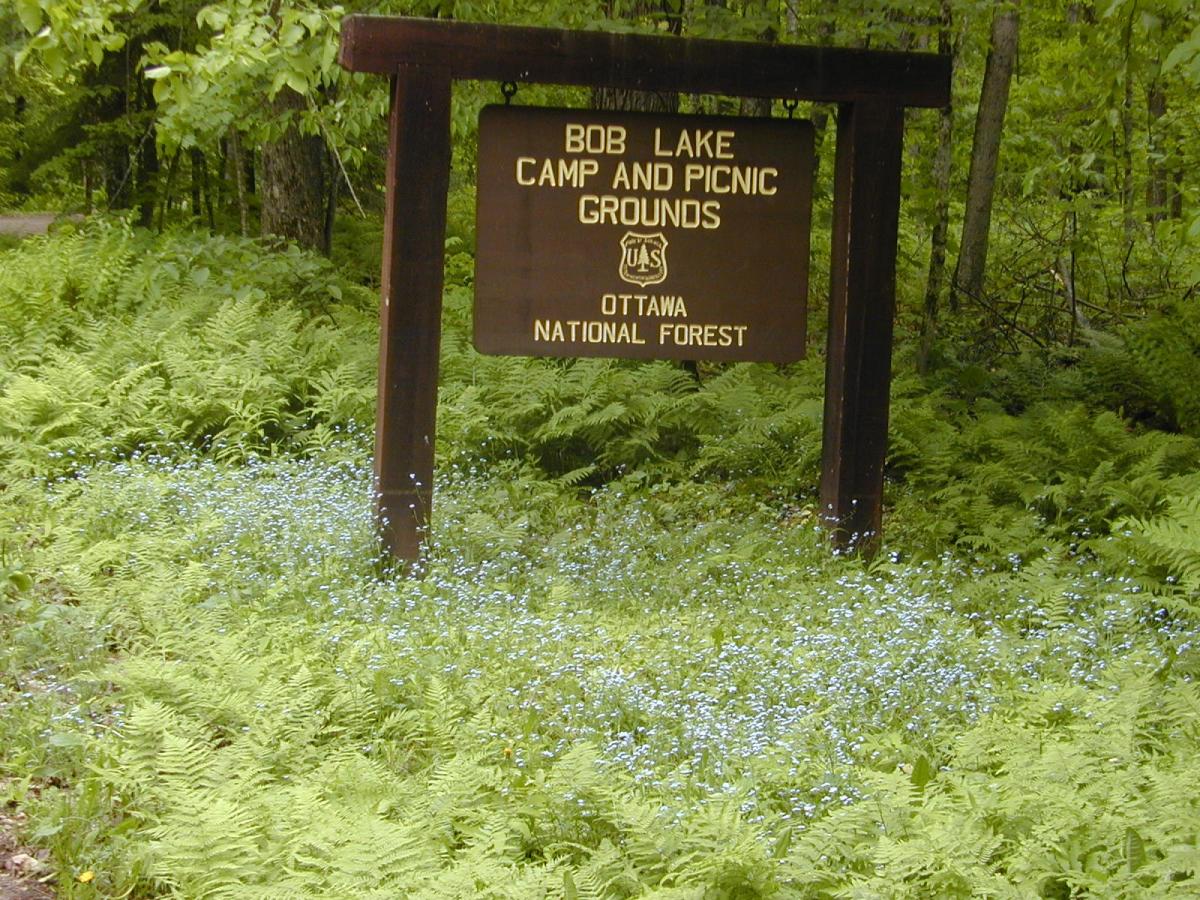Bob Lake/Beaver Lodge Interpretive Trail - Ottawa National Forest