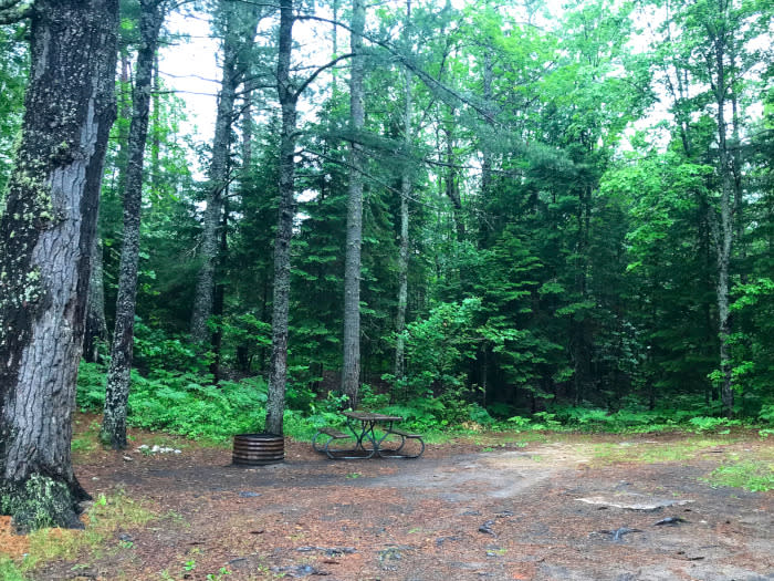 High Bridge State Forest Campground