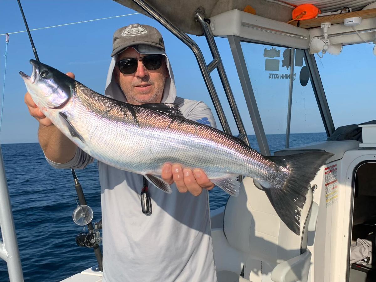 Port Franks Charters