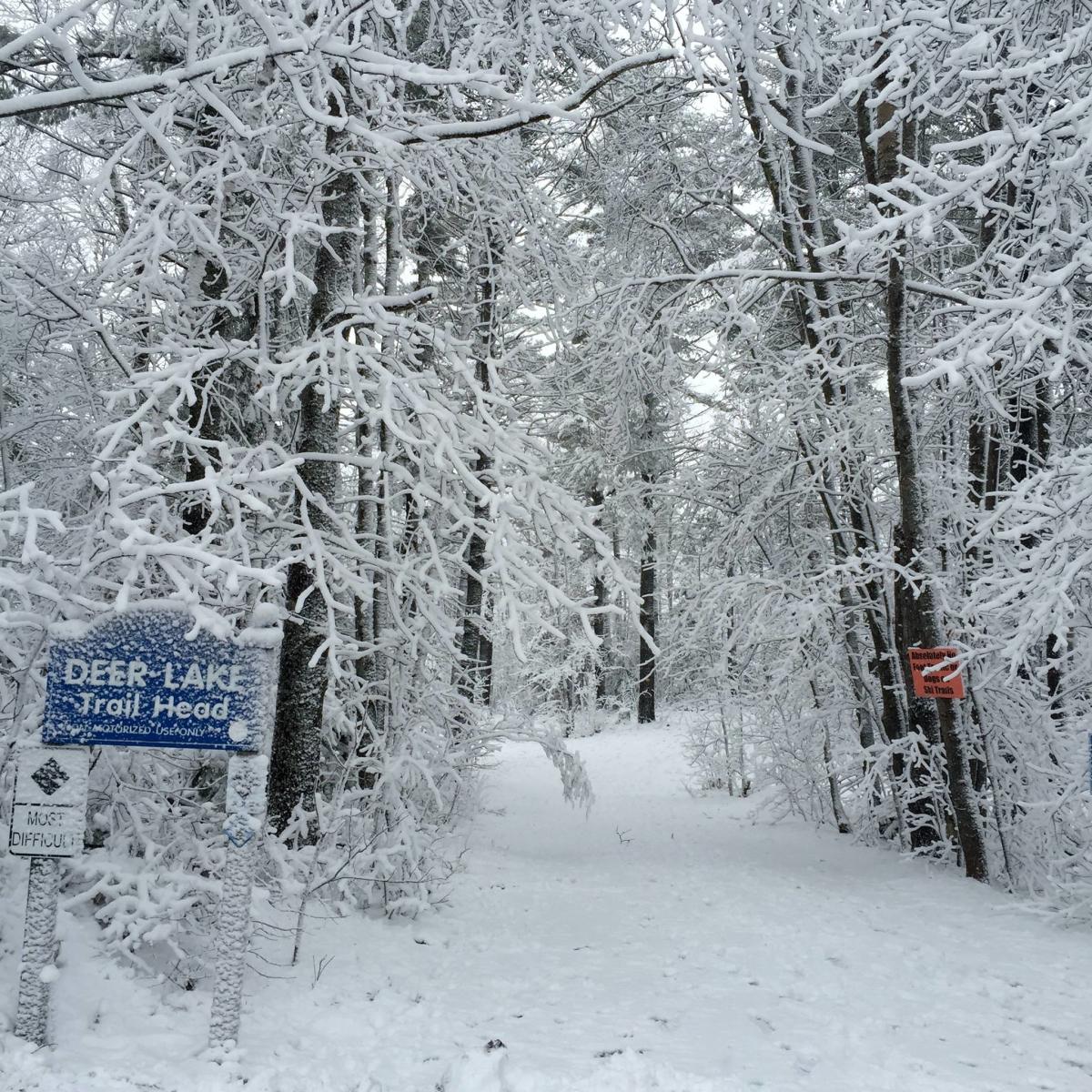 Al Quaal Recreation Area