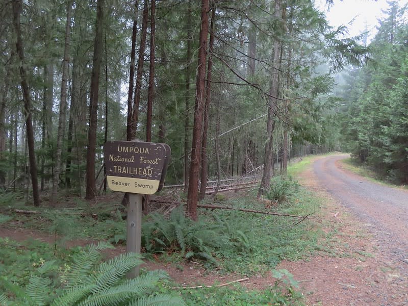 Beaver Swamp Trailhead