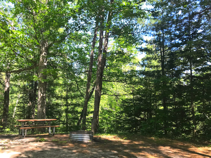 Reed & Green Bridge State Forest Campground