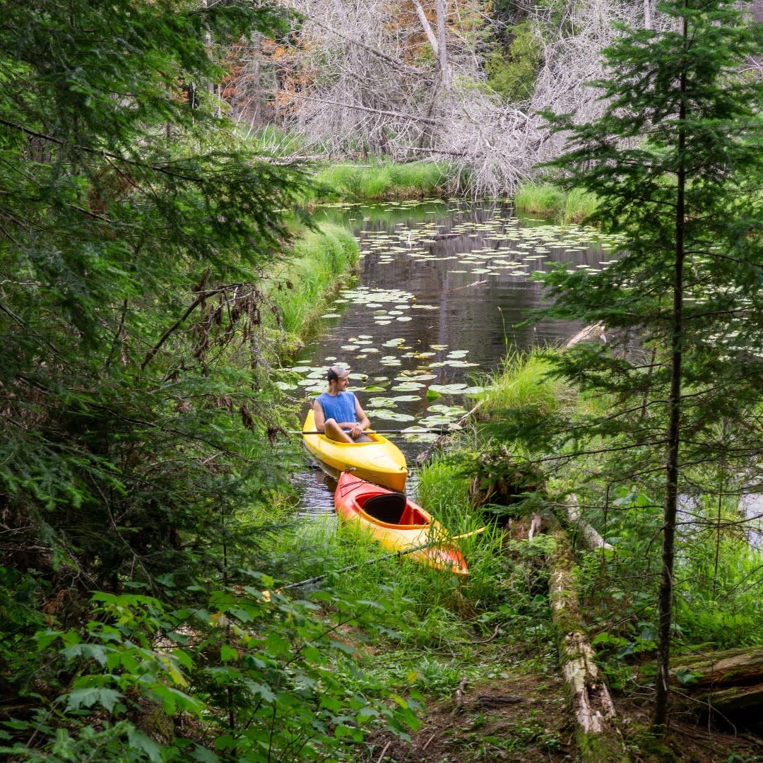 Ottawa National Forest