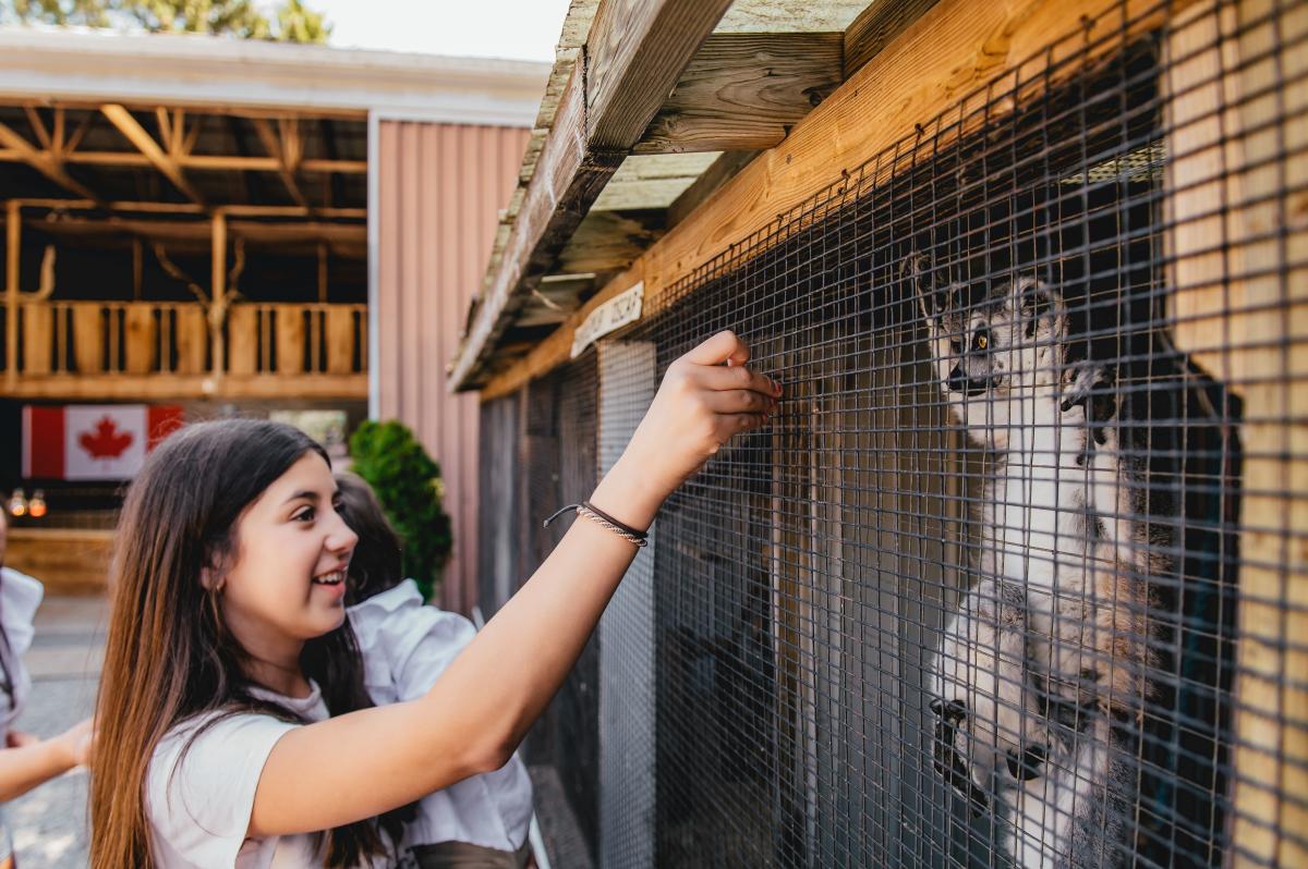 Greenview Aviaries Park & Zoo