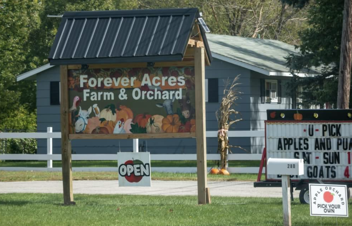 Forever Acres Farm and Orchard