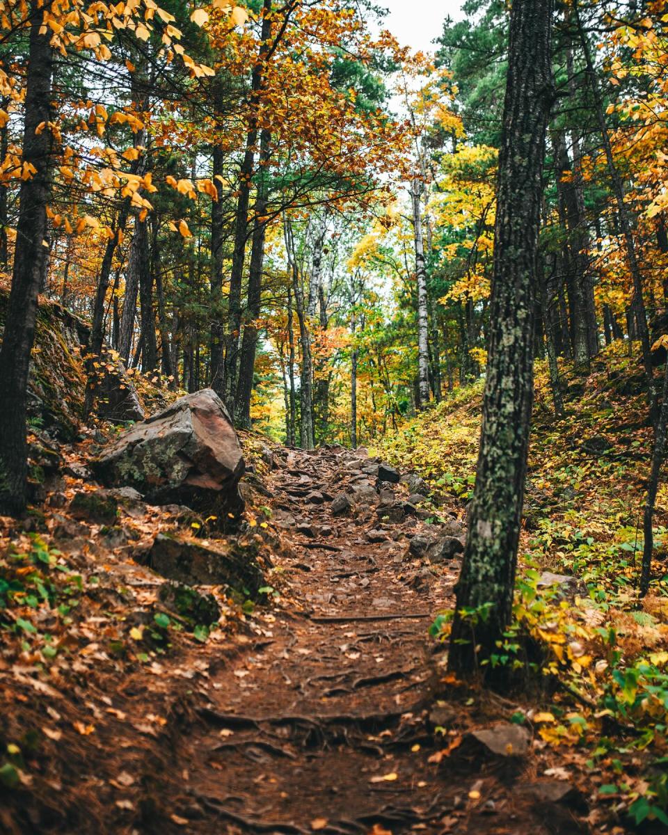 Big Bay Pathway