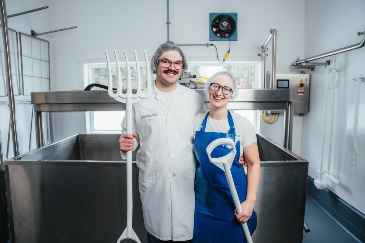 Stretching the Curd at Golspie Dairy