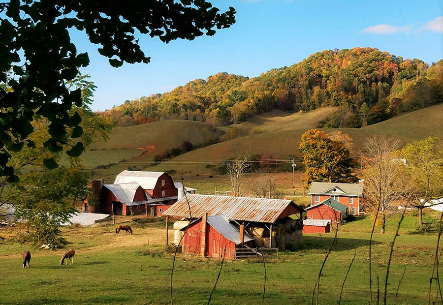 Shipley Farms