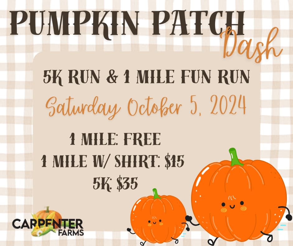 Pumpkin Patch Dash