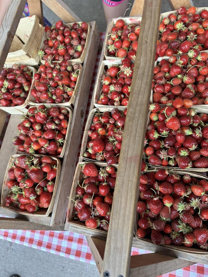 Crane Berry Farm | Michigan's Upper Peninsula Travel & Recreation ...