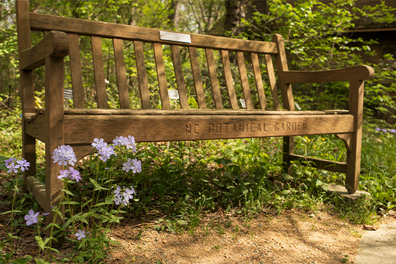 North Carolina Botanical Garden