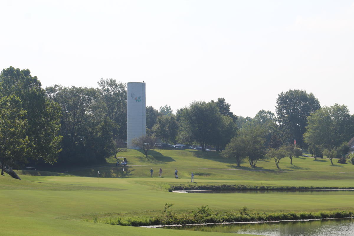 persimmon bridgefield