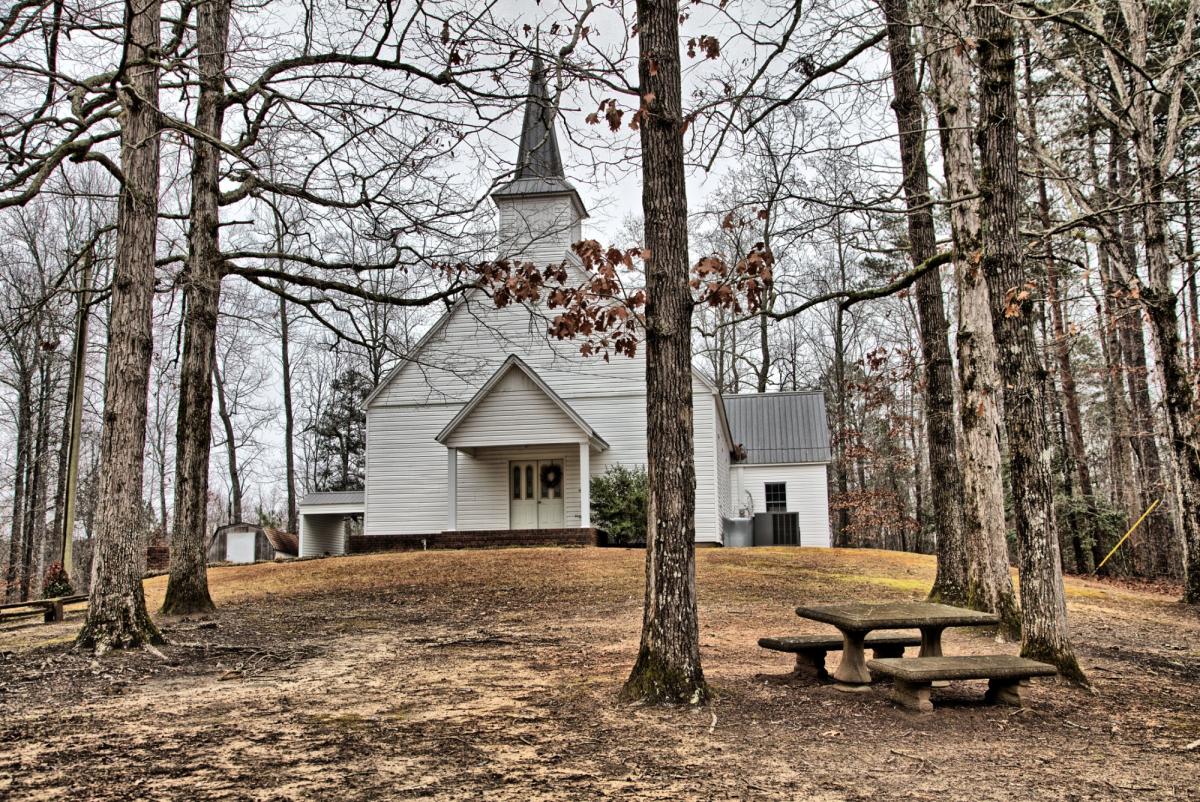 Church of the Forest