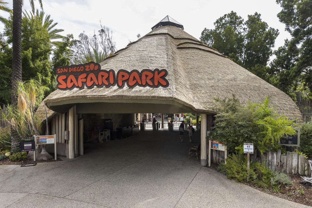 San Diego Zoo Safari Park | Escondido, CA 92027