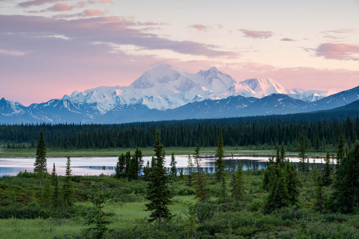 Denali Photo Guides