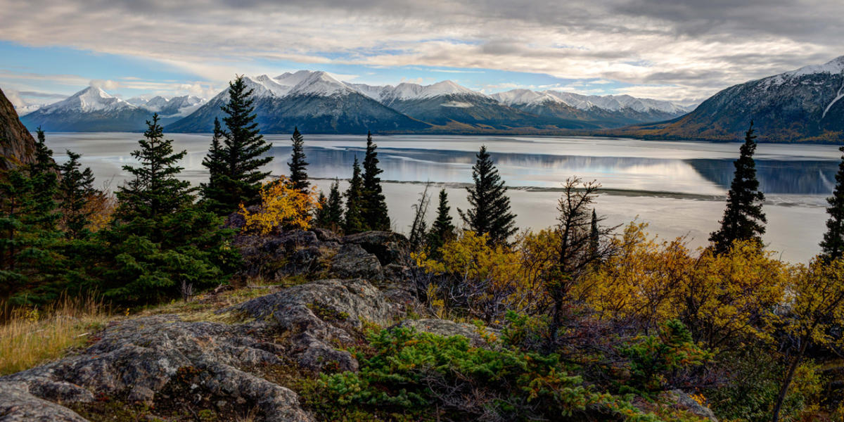 Alaska Tour & Travel