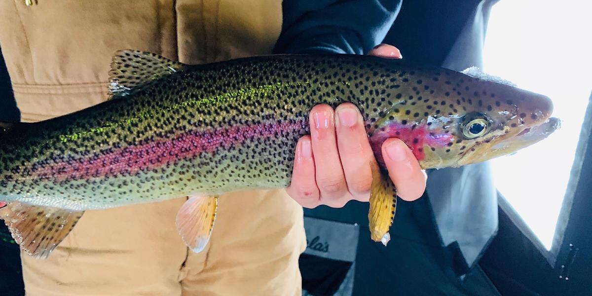 Spin Your Reels Alaska Guide Service