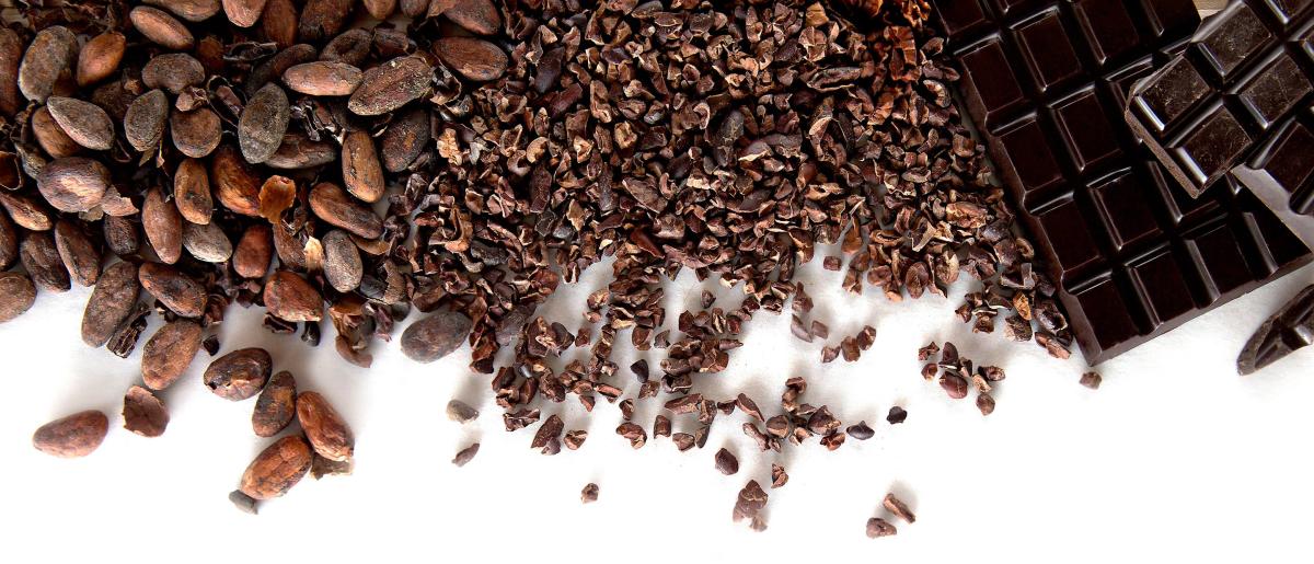 Condor Chocolates Factory Tour: POSTPONED UNTIL FURTHER NOTICE