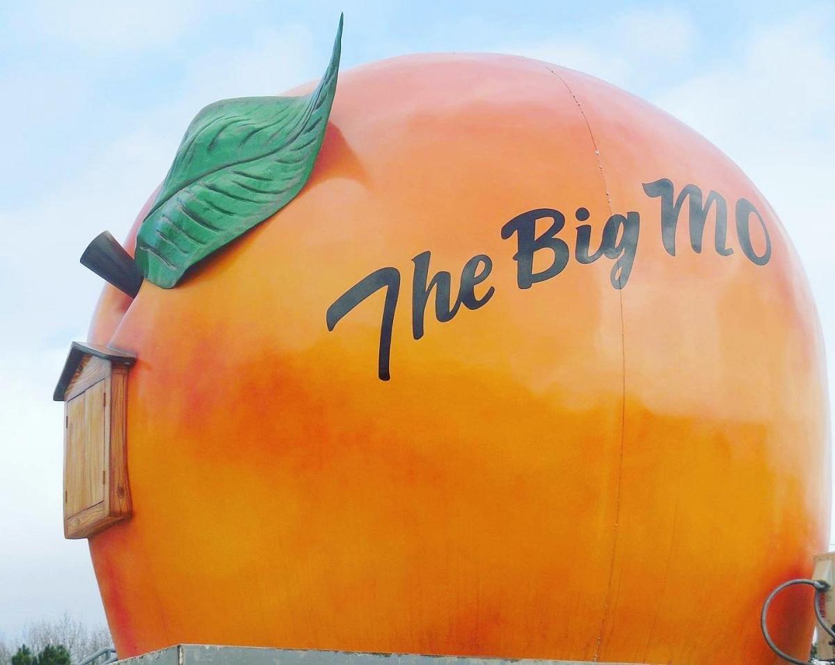 The Big Mo