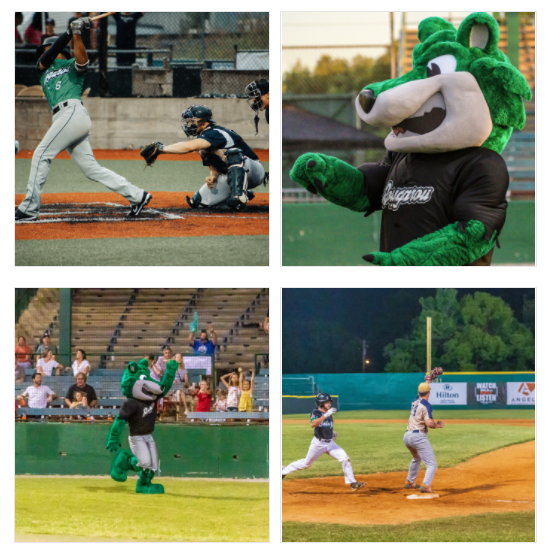 Baton Rouge Rougarou Baseball