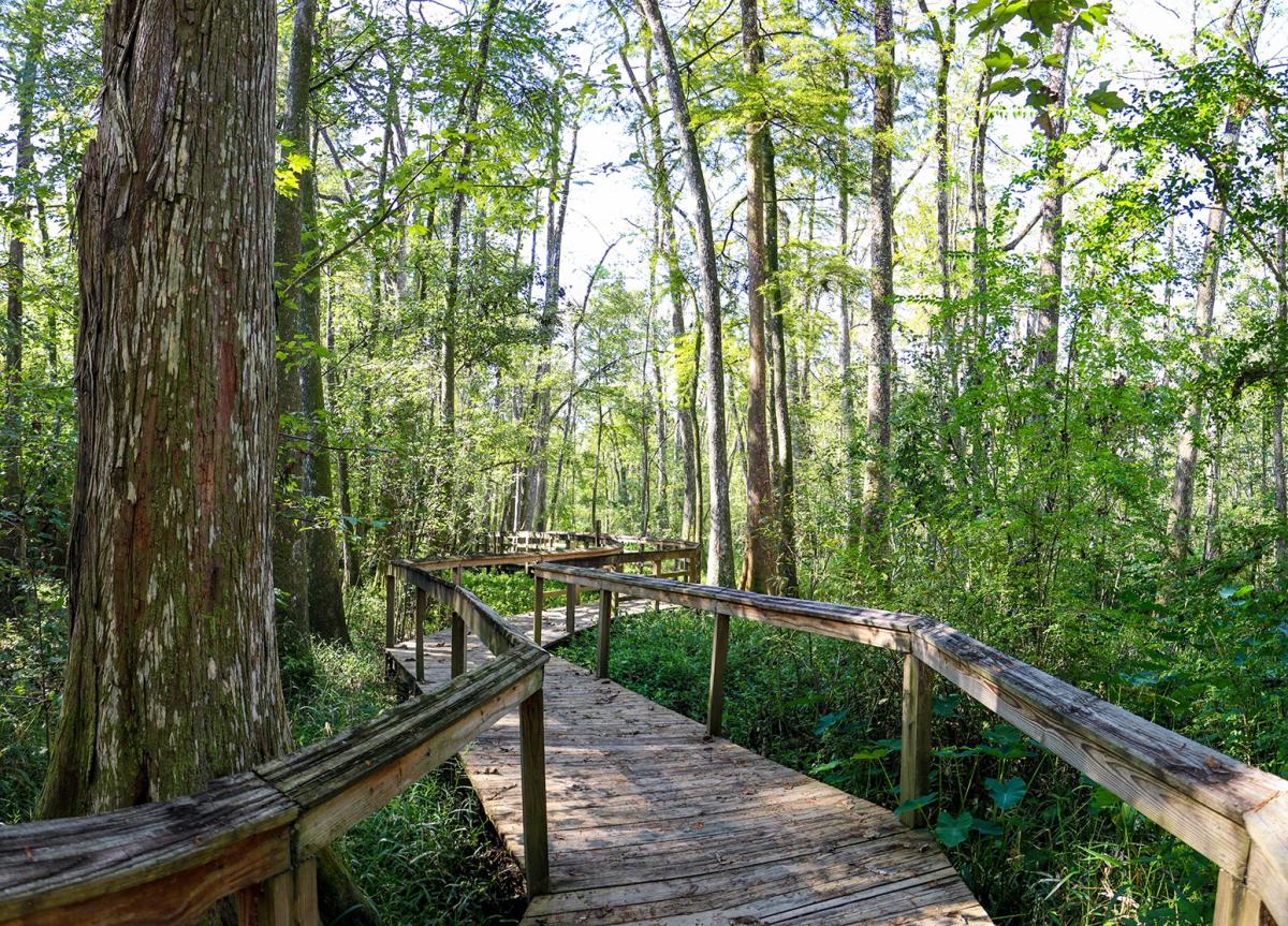 Bluebonnet Swamp Nature Center, a BREC Facility